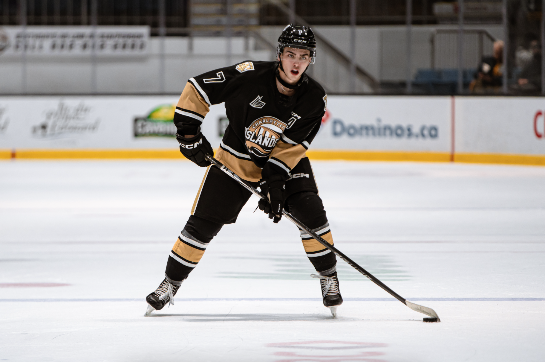 Men’s Hockey Recruit Roundup – The Northeastern Hockey Blog