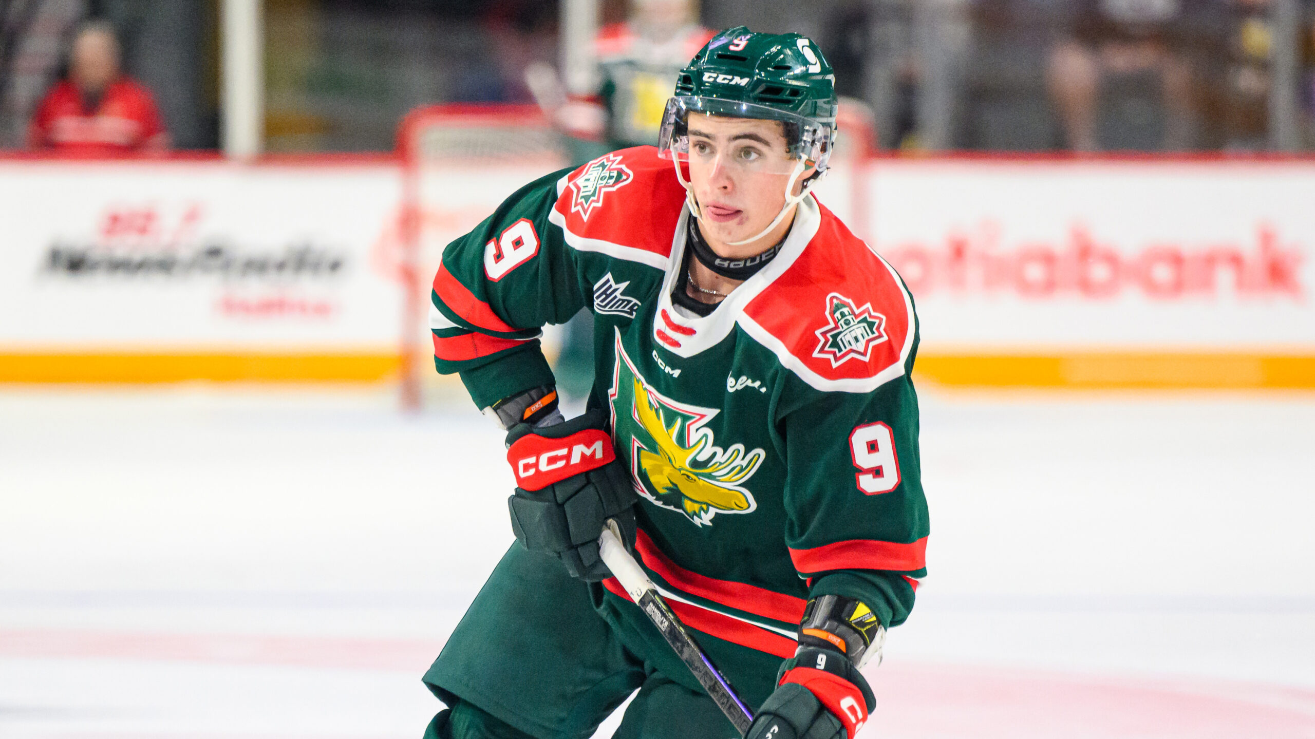 Forward Liam Kilfoil Commits to Northeastern – The Northeastern Hockey Blog