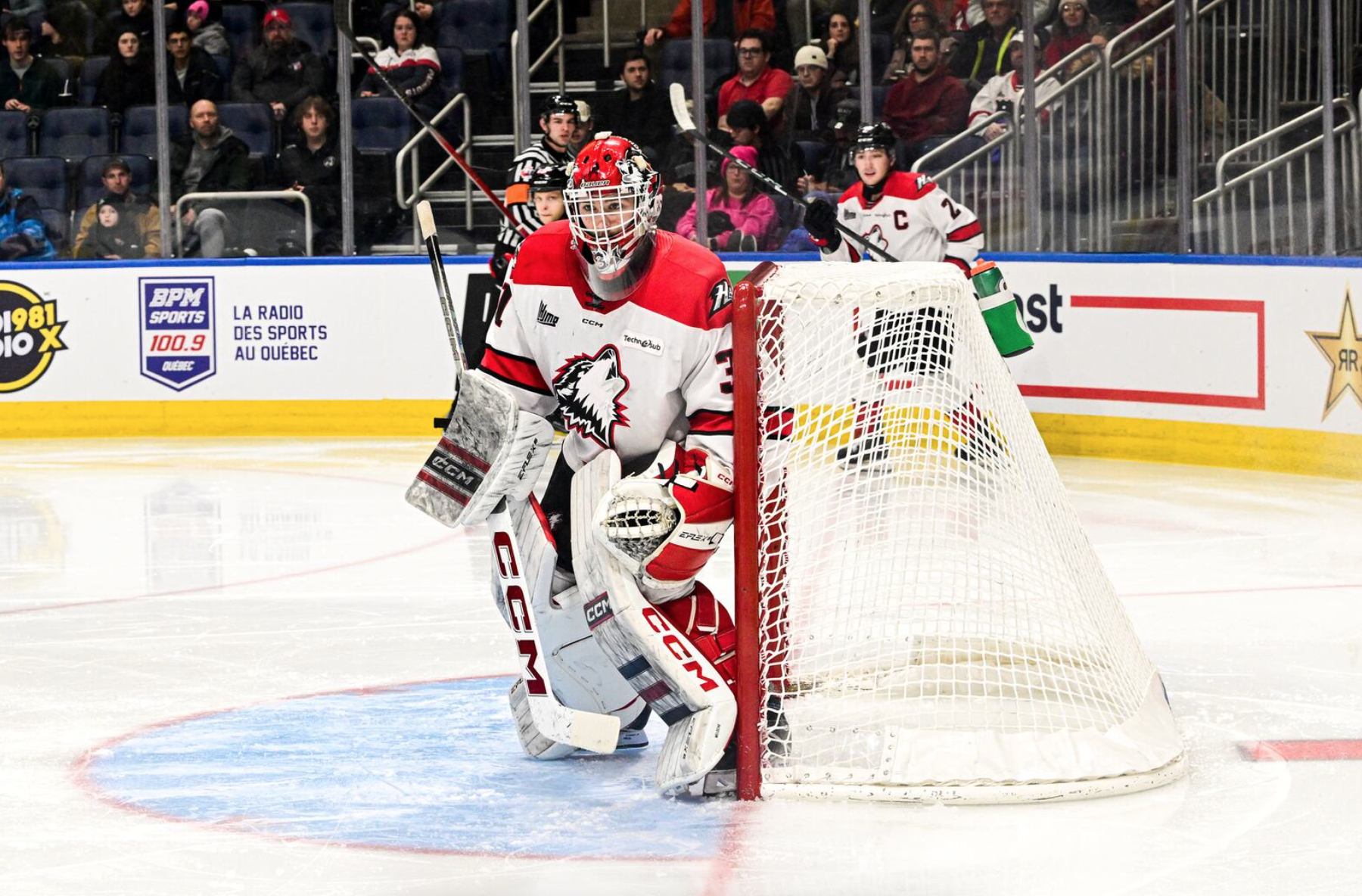Goaltender Samuel Meloche Commits to Northeastern – The Northeastern ...